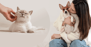 Guardería, Pensión, Alimentos y Productos para tu mascota ...